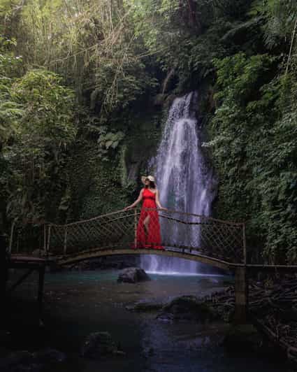Ubud: Discover Hidden Rainforest Waterfalls & Rice Terrace | GetYourGuide