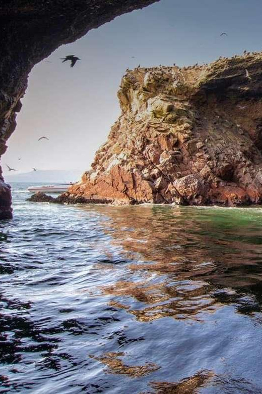 Paracas: Sunset trekking in the Paracas National Reserve | GetYourGuide