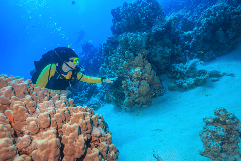 Side: Underwater Museum Scuba Diving Expedition | GetYourGuide