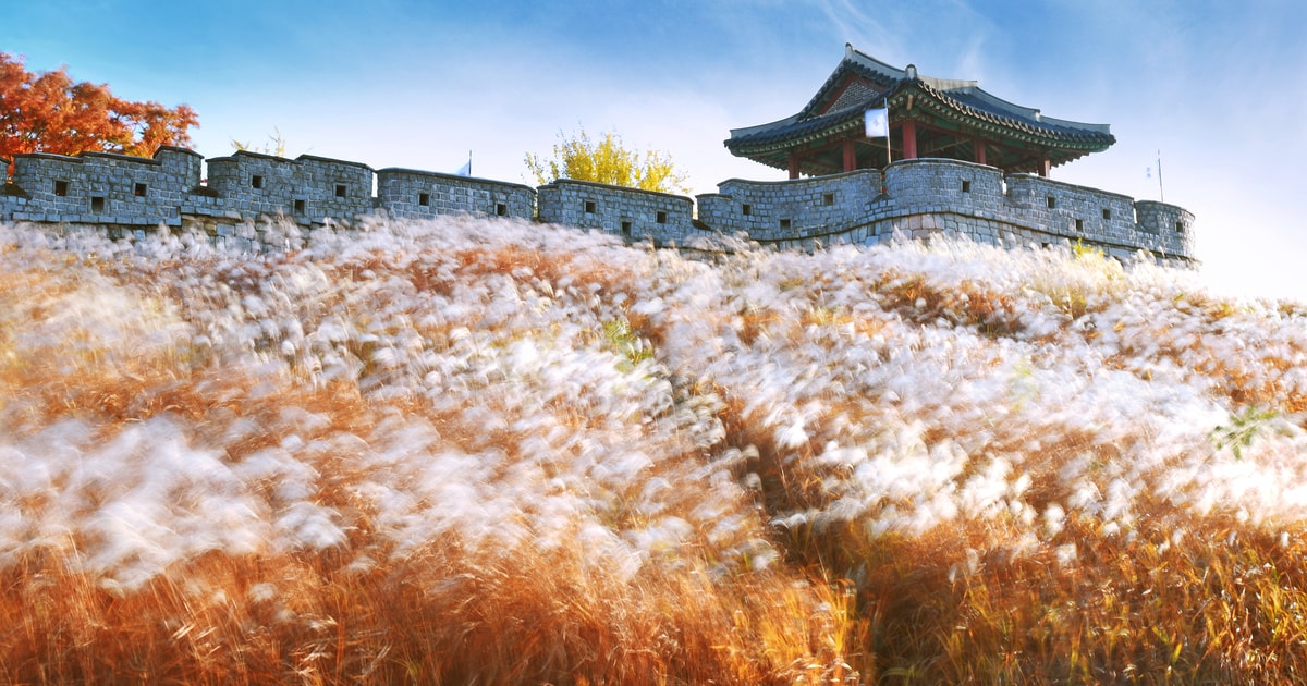 Vanuit Seoul: UNESCO Suwon Hwaseong Fort Tour | GetYourGuide