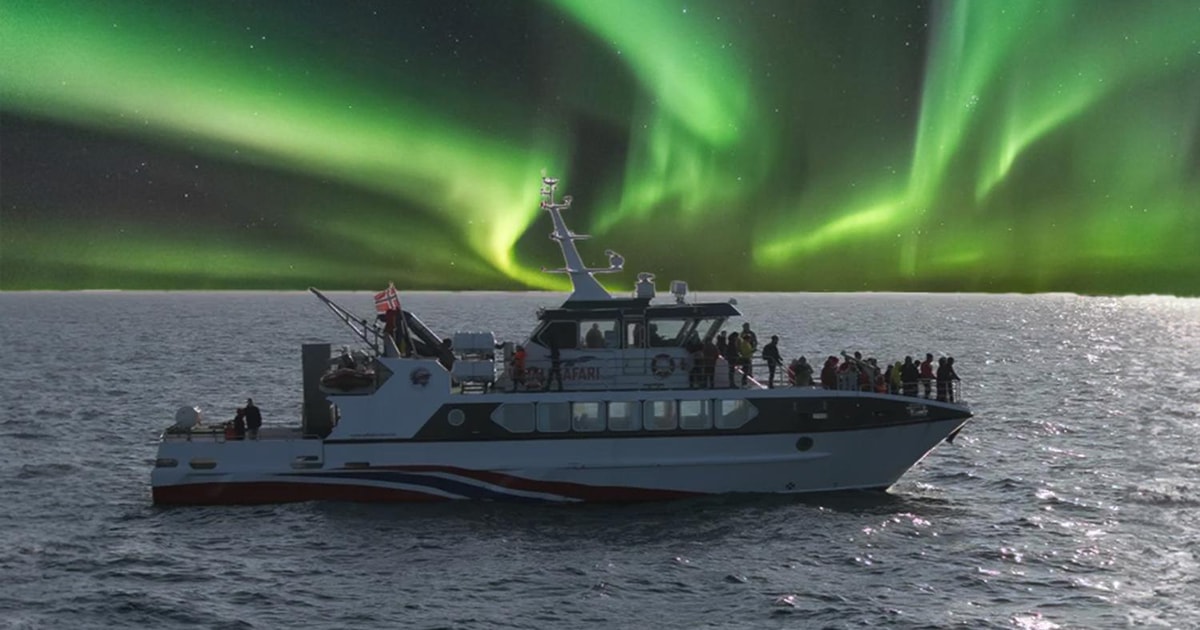 Tromsø Northern Lights Safari on MS Trolltind Nordic | GetYourGuide