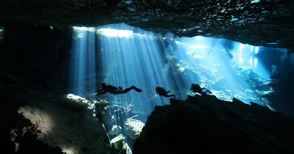 PLAYA DEL CARMEN : Plongée dans le cénote CHAC MOOL | GetYourGuide