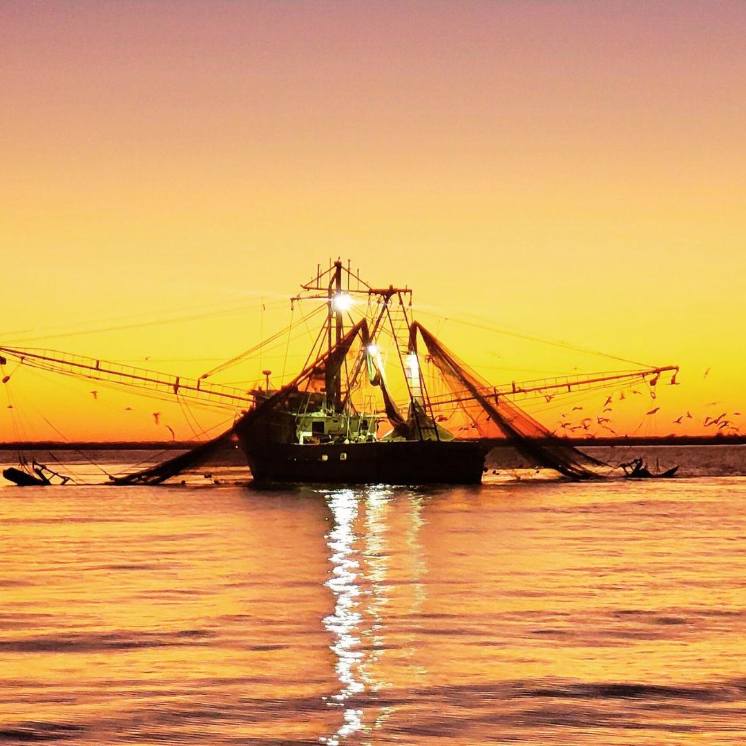 Tybee Island: Tiki Boat Sightseeing Cruise | GetYourGuide