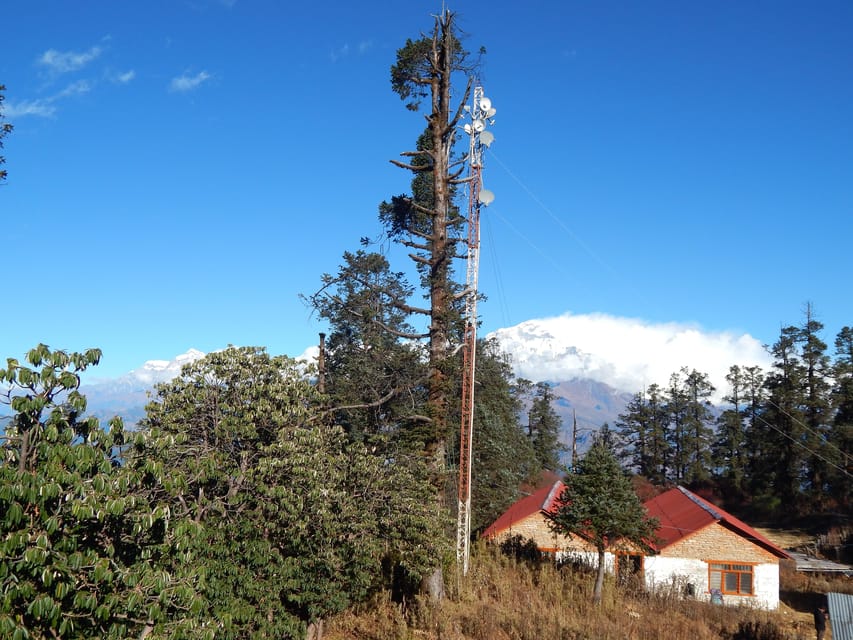 Mohare Danda: Majestic 6-days Trek | GetYourGuide