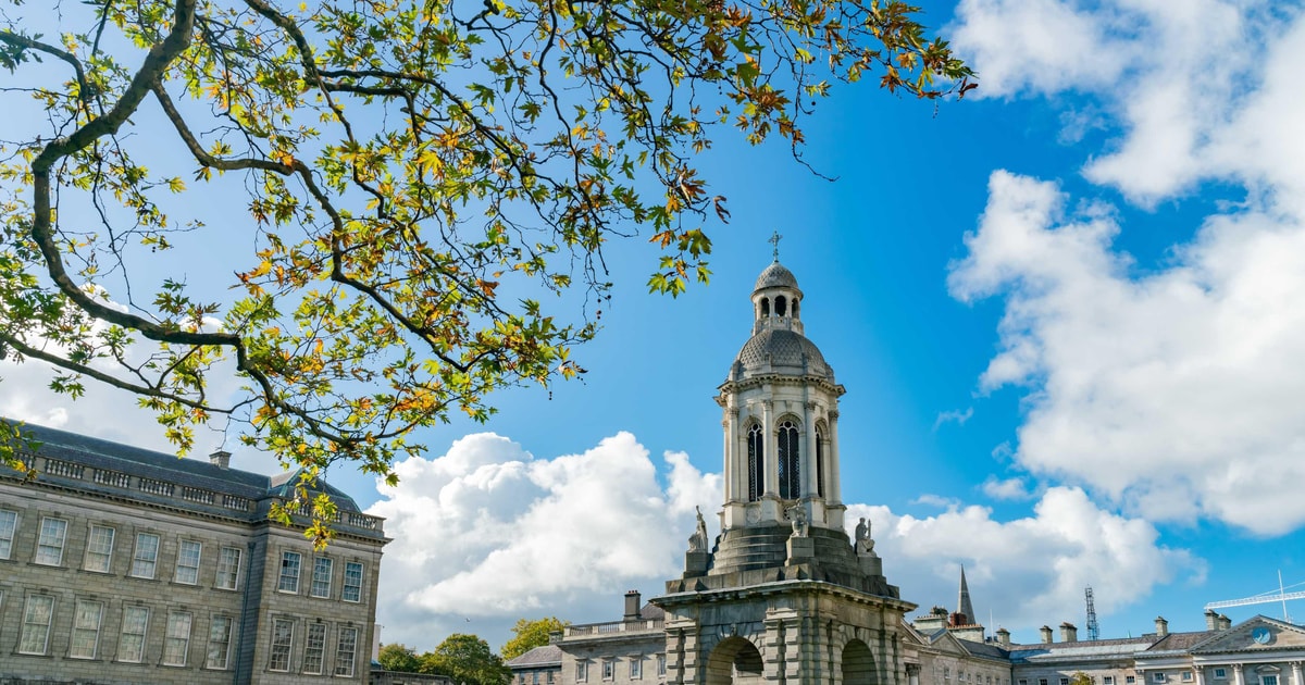 Dublin City Walking Tour, Vikings, St. Partick, Highlights | GetYourGuide