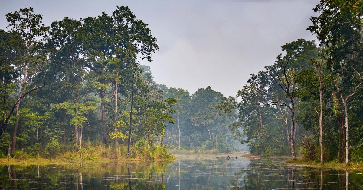 From Pokhara: Private 3-Day Chitwan Jungle Safari Tour | GetYourGuide