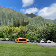 Honolulu: Oahu Island Full-Day Guided Tour by Bus with Lunch | GetYourGuide