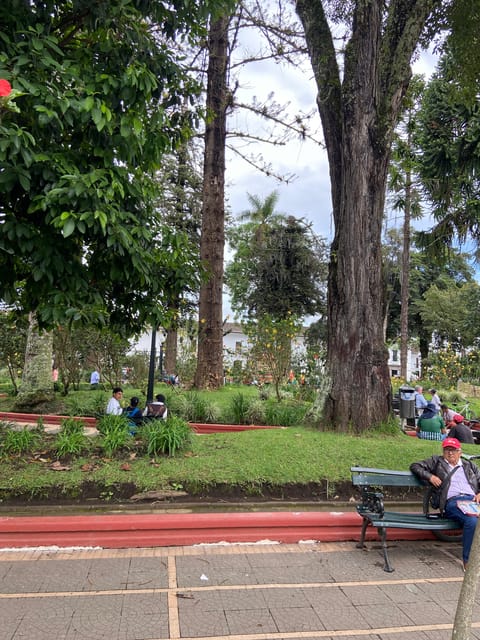 Popayán: Traslado privado a Cali | GetYourGuide