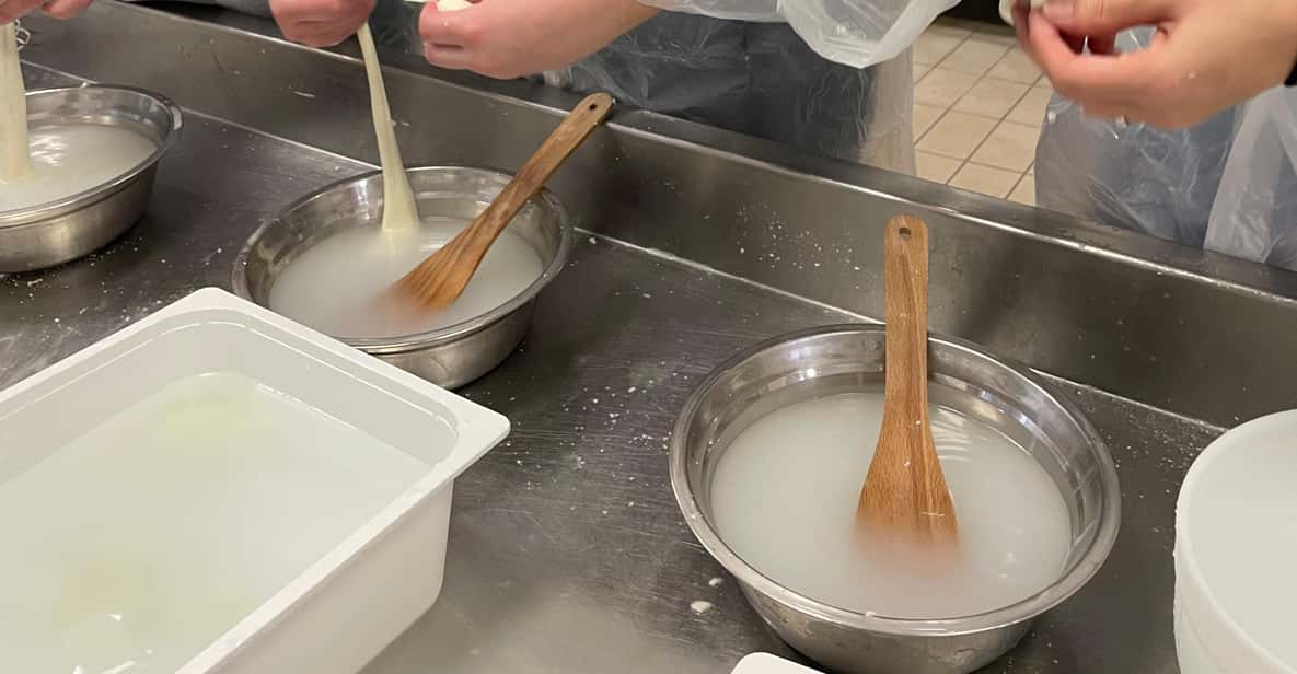 Pisa: Small Group Cheese Making and Tasting Experience | GetYourGuide