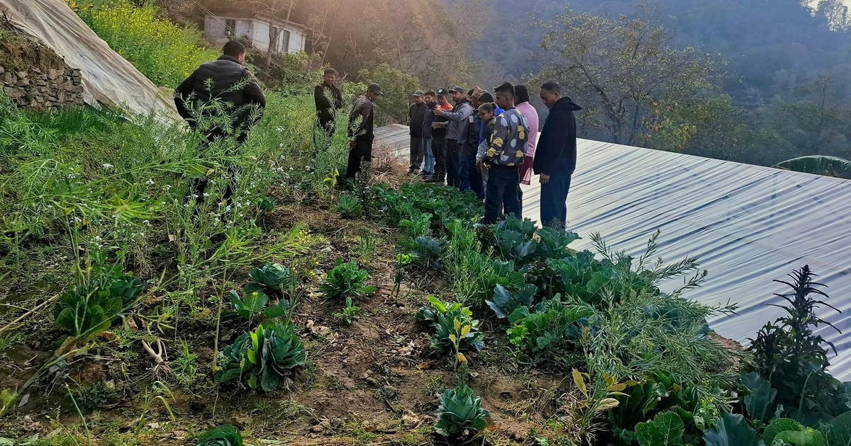 Von Kathmandu: Tour zur Permakultur-Biofarm in Patlekhet | GetYourGuide