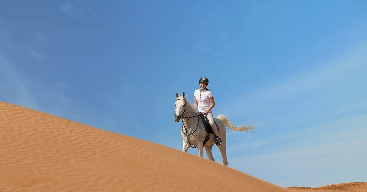 From Doha: Experience Horse Riding In Qatar Desert | GetYourGuide