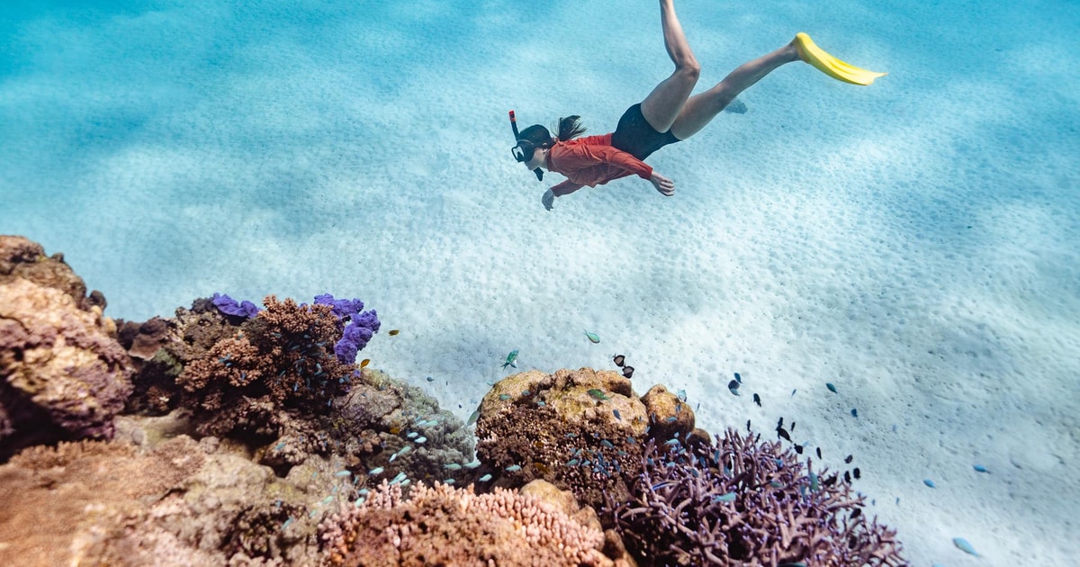 Exmouth: Ningaloo Reef Snorkel Adventure | GetYourGuide