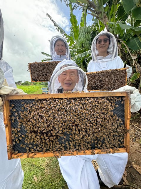 Bee Farm Tour & Honey Tasting | GetYourGuide
