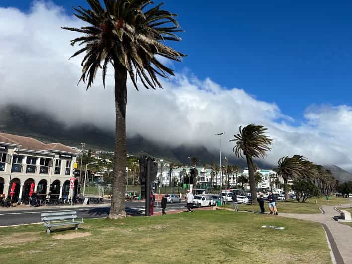 Full-Day Private Cape Town’s Most Beautiful Beaches Tour | GetYourGuide