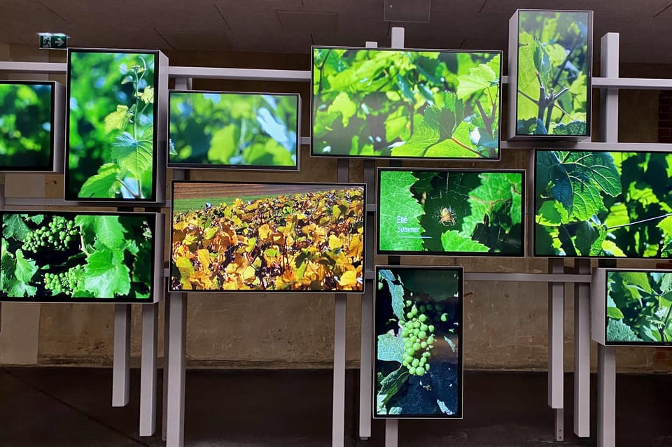 Private Champagne Moët Chandon Pommery Pressoria from Paris | GetYourGuide