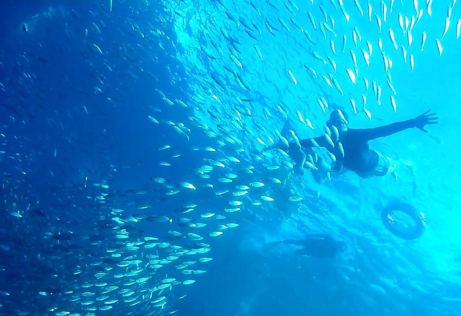 Shared Tour: Moalboal Snorkeling Adventure & Canyoneering | GetYourGuide