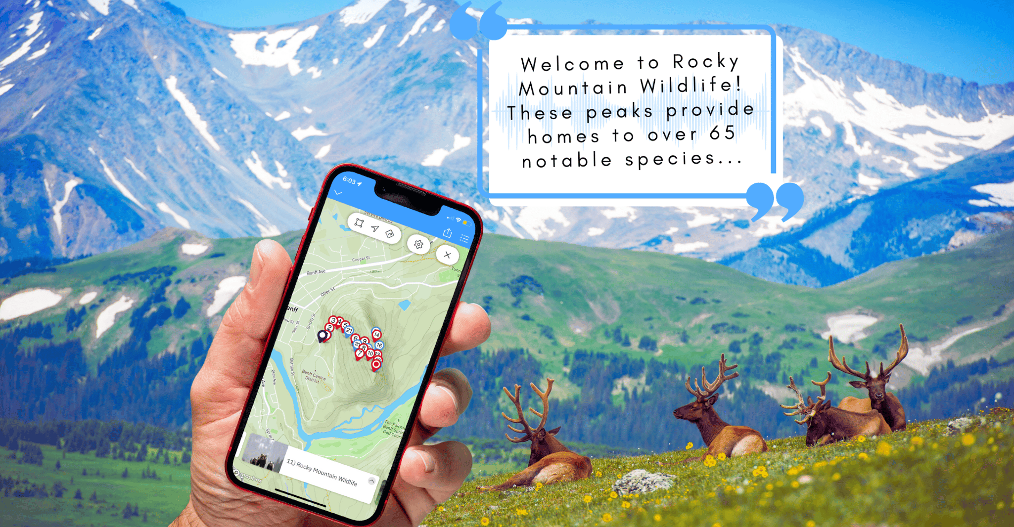 Tunnel Mountain Trail, Nature Tour with Audio Guide | Other Experience ...