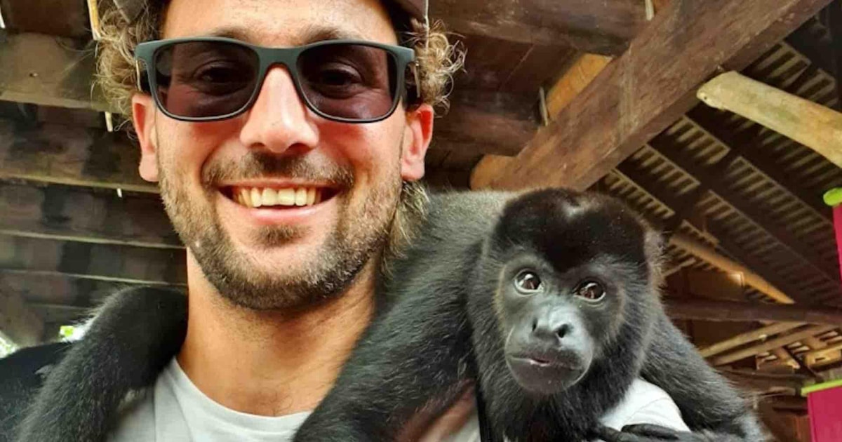 ボカス デル トロ：モンキー島とカヨ サンゴ ボート ツアー | GetYourGuide