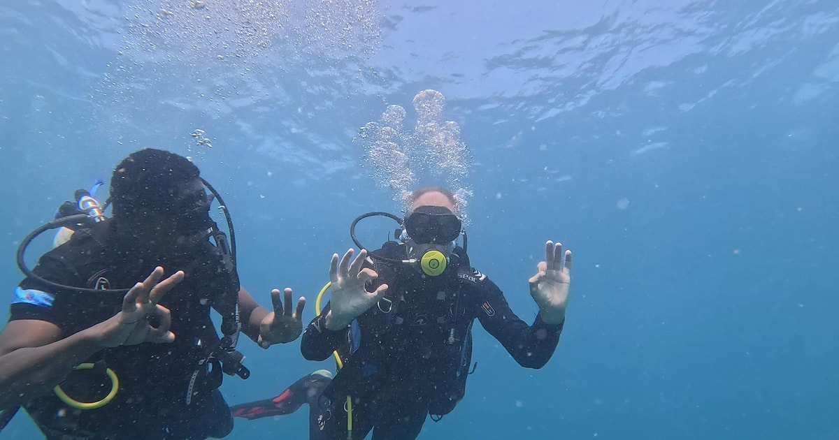DAR ES SALAAM: CERTIFIED SCUBA DIVERS FUN TRIP | GetYourGuide