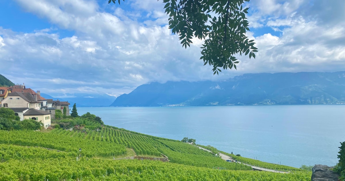 Basel: Gruyères and Lavaux Private Wine and Cheese Day Trip | GetYourGuide