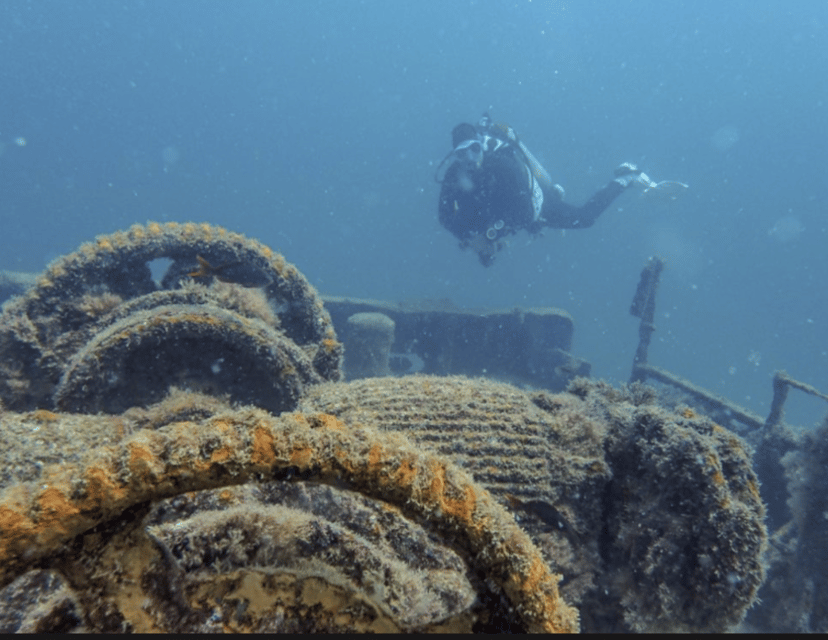 La Paz: Fang Ming Wreck Dive | GetYourGuide