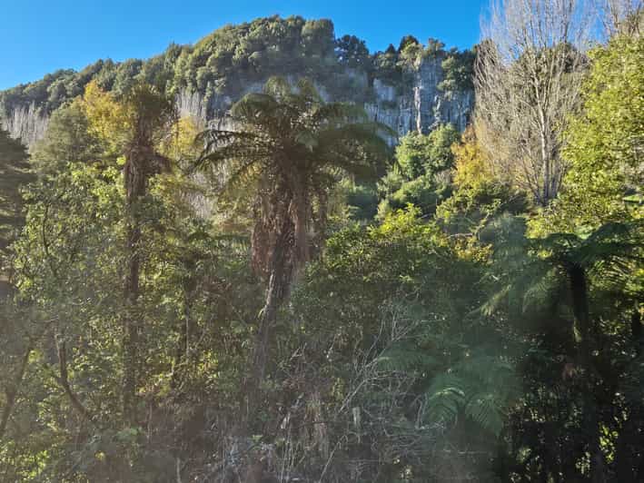 Explore Middle-Earth: Caves to Cinematic Landscapes | GetYourGuide Explore Middle-Earth: Caves to Cinematic Landscapes | GetYourGuide