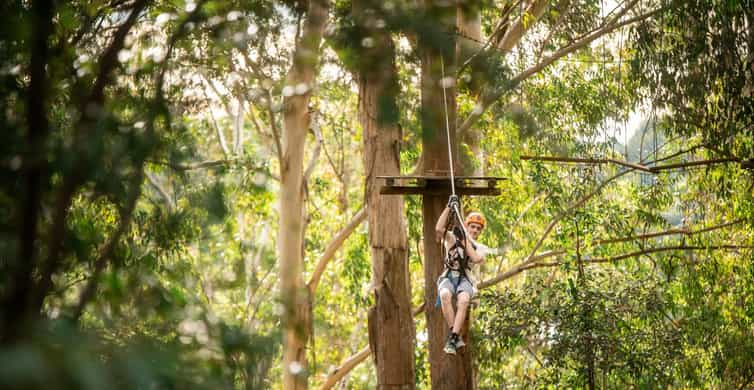 Treetops Adventure Central Coast | GetYourGuide