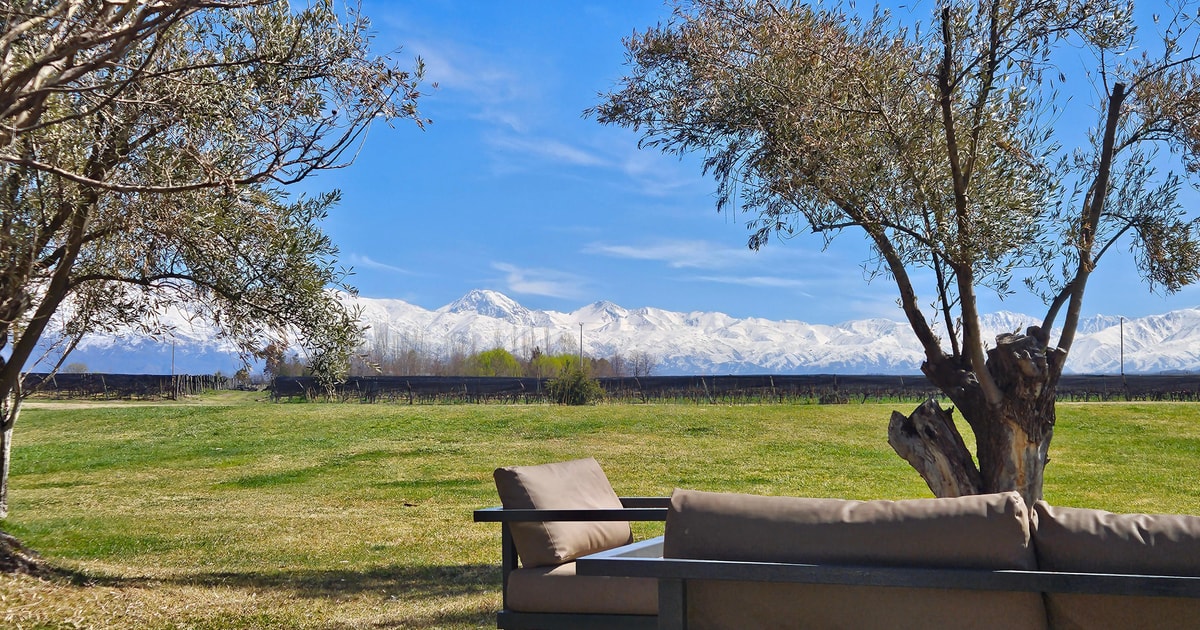 Mendoza Wine Road Trip Tour | GetYourGuide