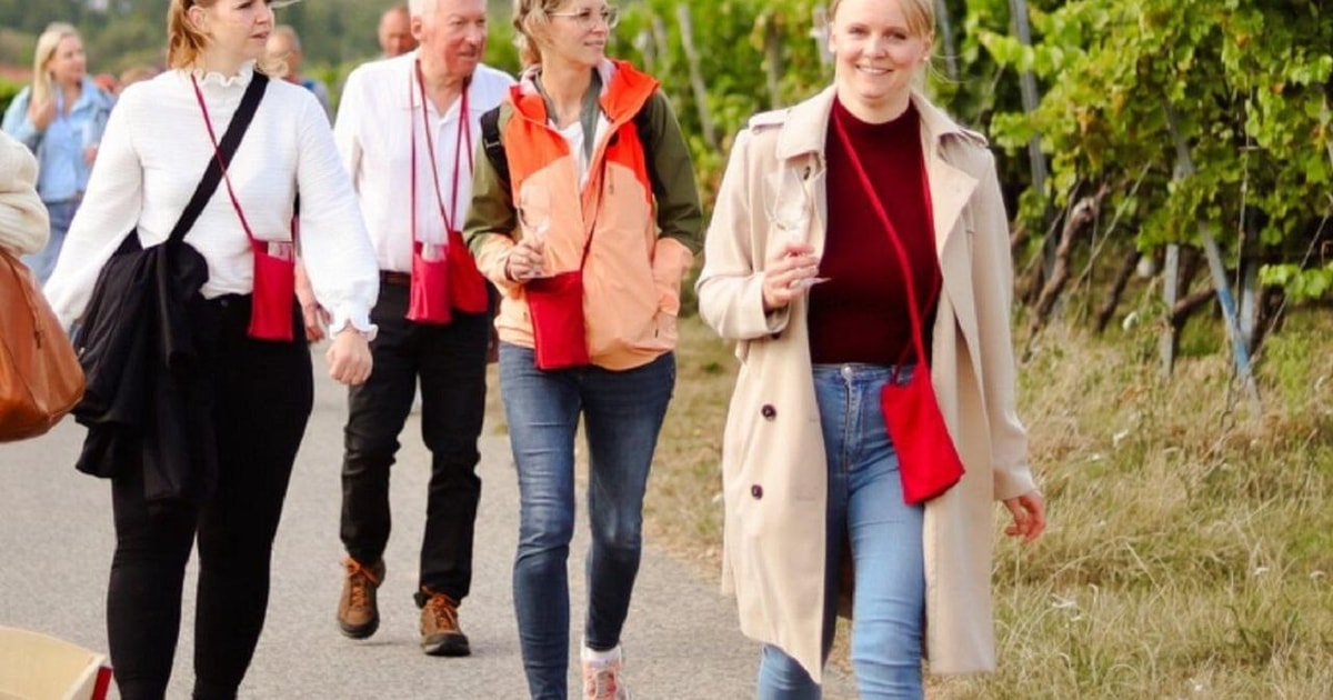 Weinbergsführung rund um Nordheim am Main an der Mainschleife ...