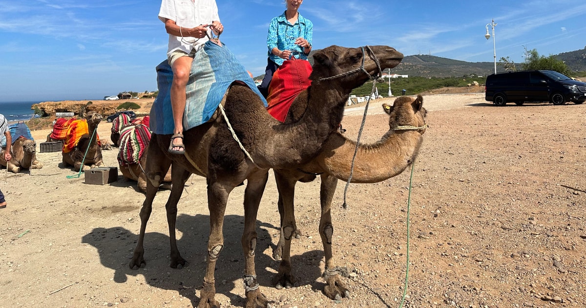 4 Heures tour tangier city Visite privée | GetYourGuide