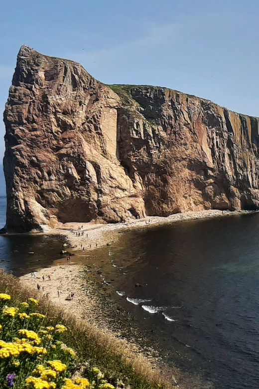 Discover Gaspe! Virtual Guided Tour | GetYourGuide