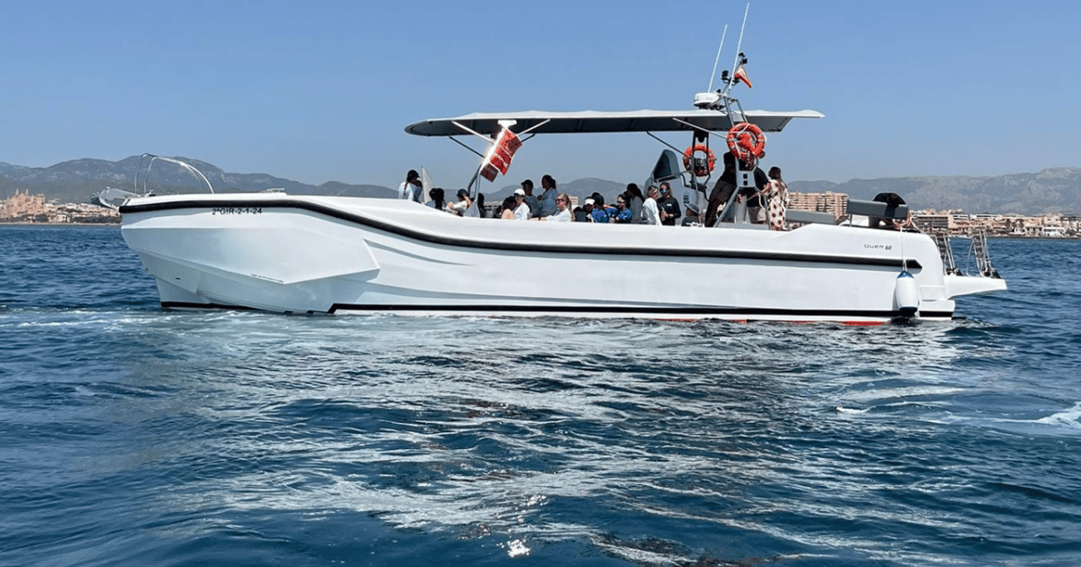 Visit Palma marine reserve: Caves, cliffs and snorkeling | GetYourGuide