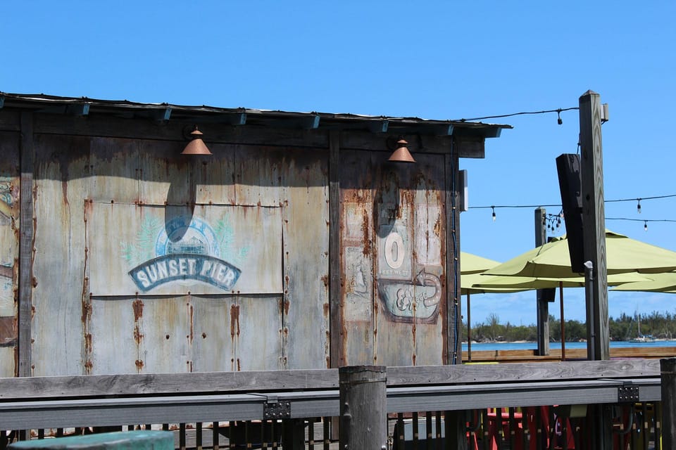 Miami naar Key West Shuttle: Dolfijn, snorkelen & meer | GetYourGuide