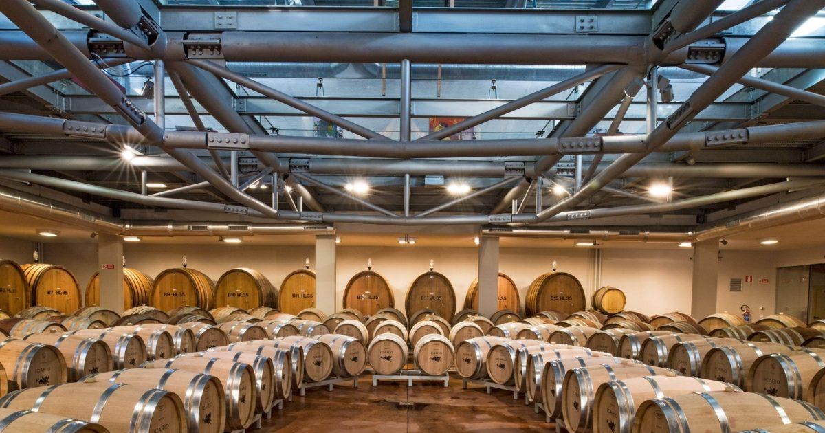 Montepulciano: Icario Winery Wine Tasting Experience | GetYourGuide