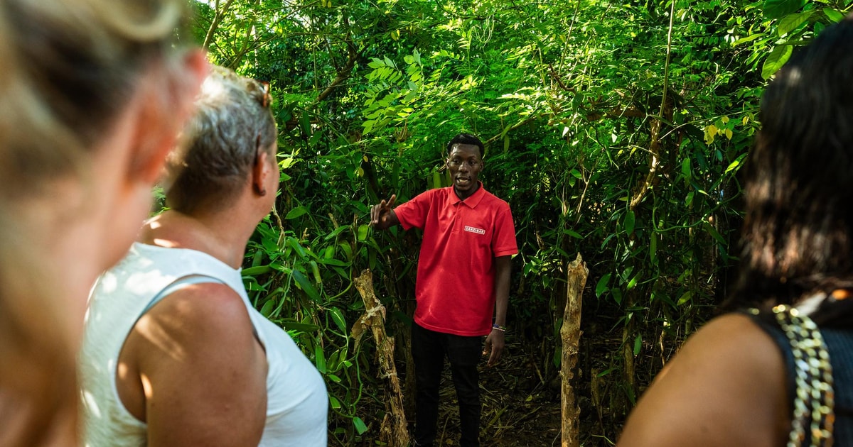 Zanzibar : île-prison, épices, saveurs secrètes, forêt de Jozani ...