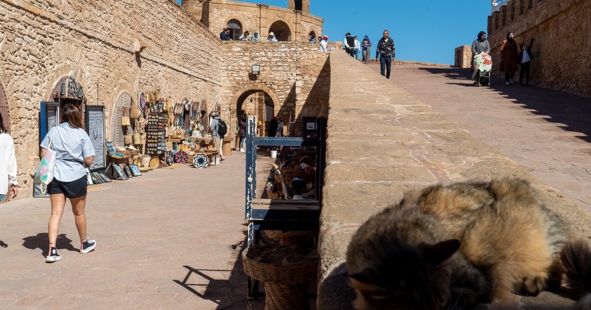 Da Marrakech: Escursione di un giorno alla città e al mare di Essaouira ...