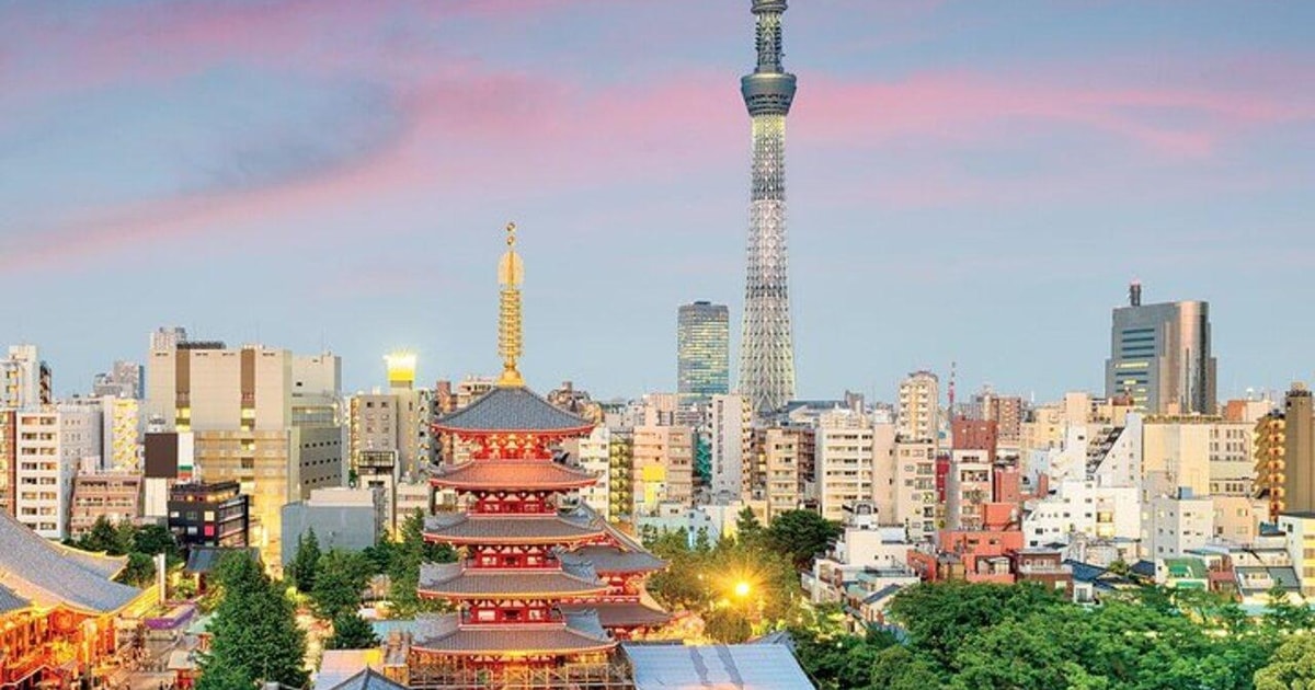Tokio: Private, individuell anpassbare 4-stündige Nachttour | GetYourGuide