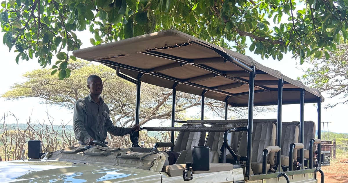 From Durban: Experience Two Big 5 Game Reserves in a Day | GetYourGuide