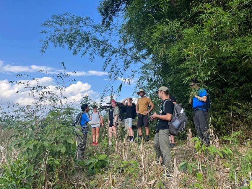 Chiang Rai: Jungle Avontuur-Groep trektocht & Bamboe koken | GetYourGuide