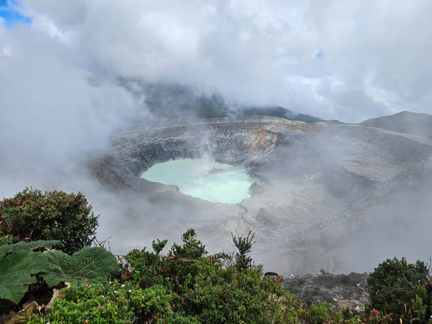 Doka Coffee Tour + Poas Volcano | GetYourGuide