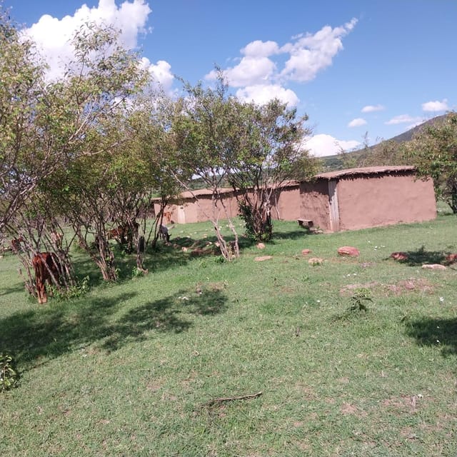 Desde Nairobi Excursión de un día a la Aldea Masai | GetYourGuide