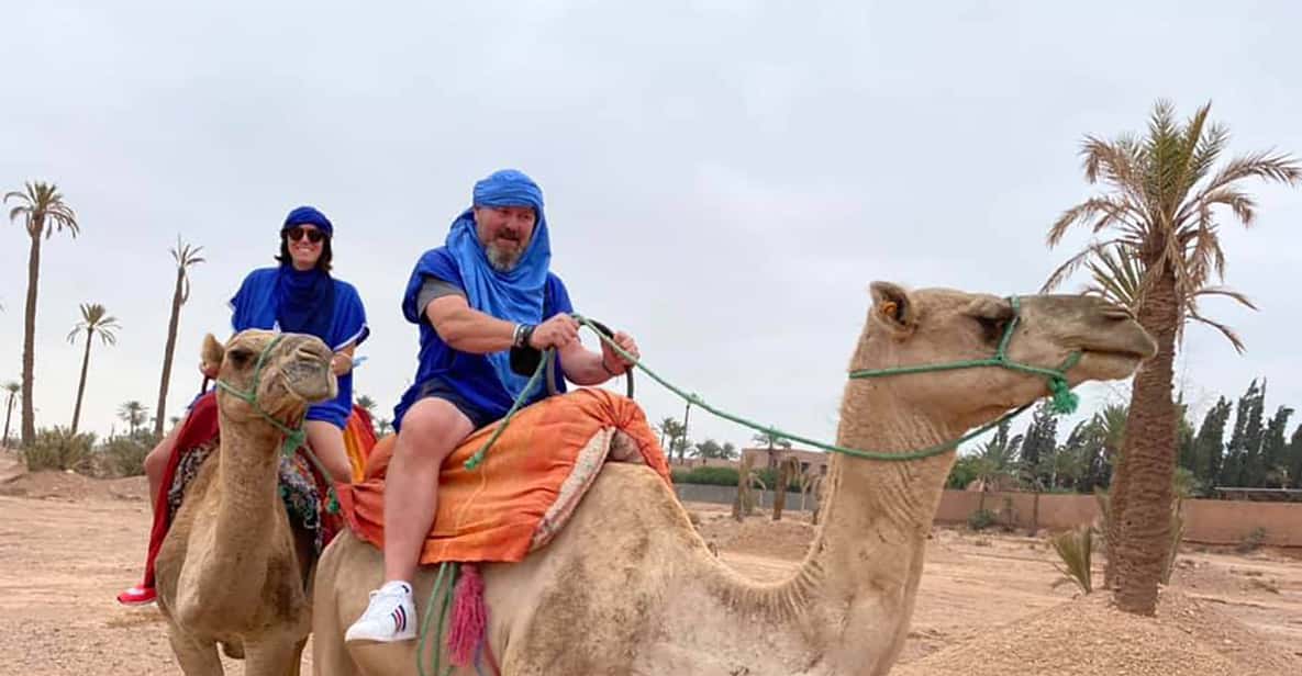 Marrakech camel ride in the palm grove | GetYourGuide