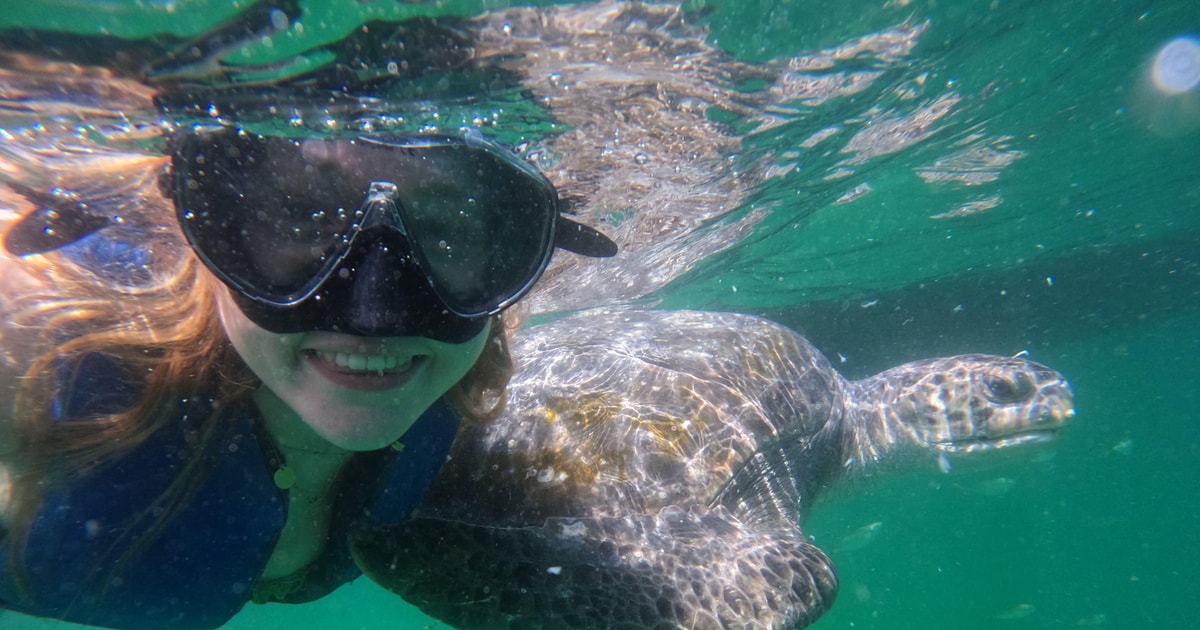 Mancora: Swimming and bathing with turtles | Entrance | | GetYourGuide
