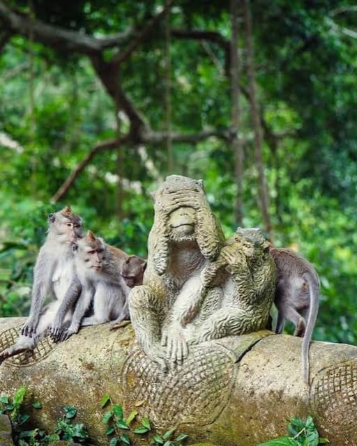 Bali : highlight Ubub tour | GetYourGuide