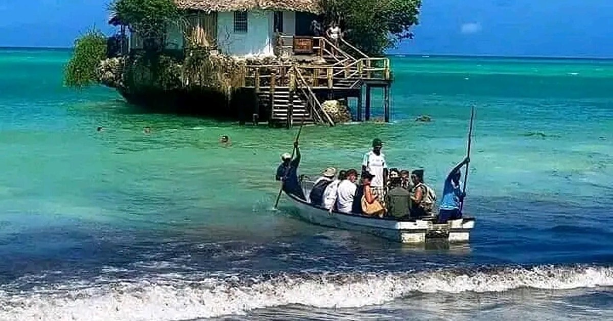 Zanzibar City:Shore Excursion Tour And Local lunch. | GetYourGuide