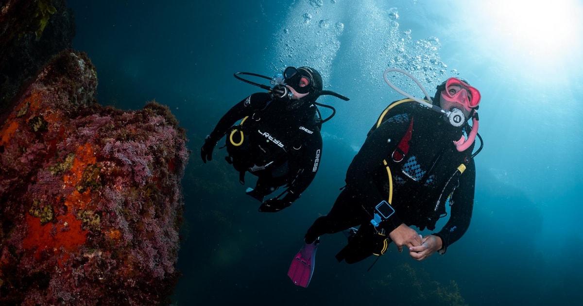 Explore the Underwater World: Guided Dives for All Levels | GetYourGuide