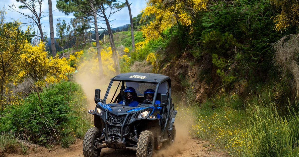 Madeira: Trail Thrill Buggy Tour | GetYourGuide