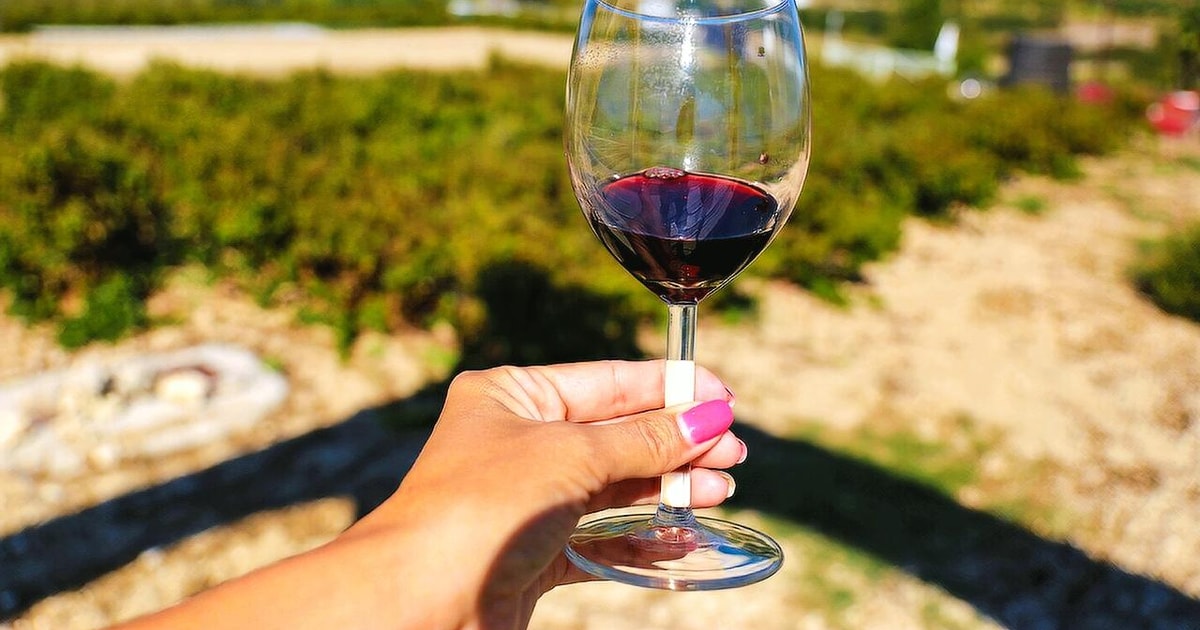 Pafos: Visita a Bodegas Locales con Degustación de Vinos | GetYourGuide