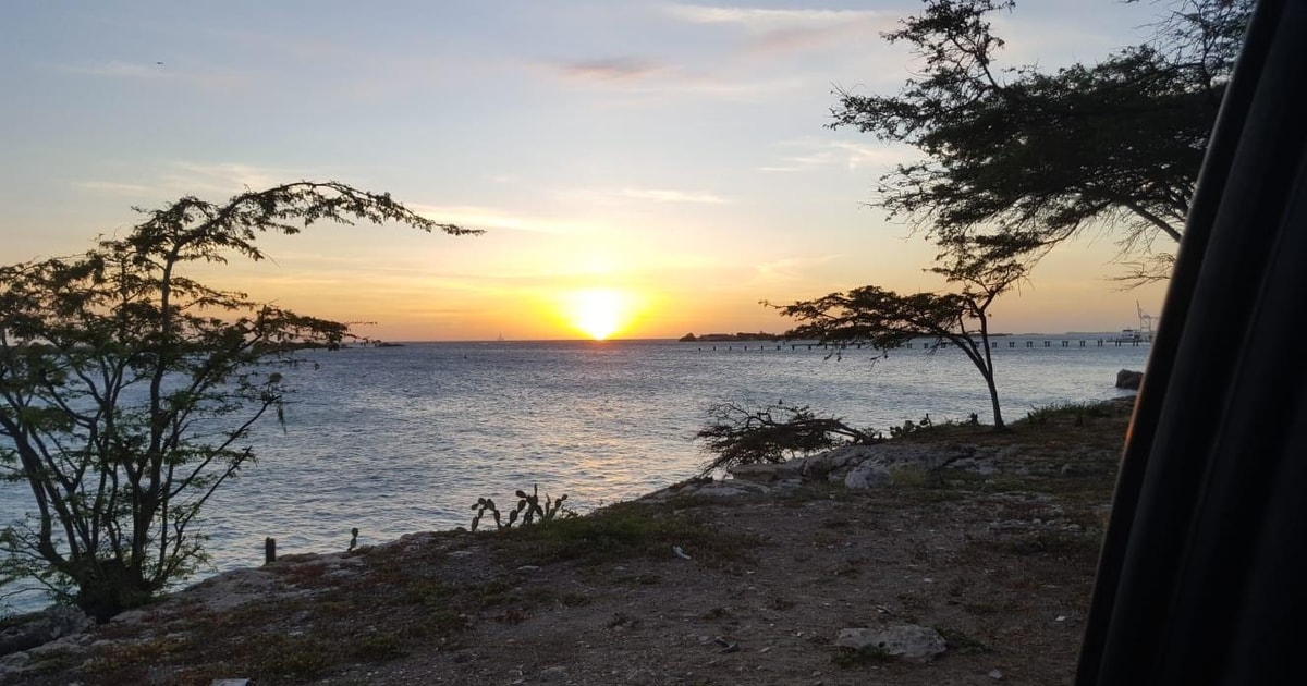 Aruba: Full Day Island Tour with Local Guide | GetYourGuide