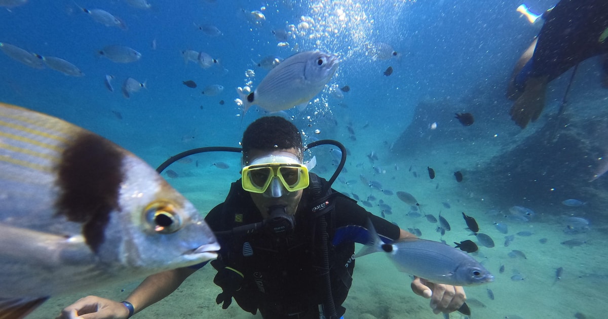Alanya: Full-Day Scuba Diving Tour with Lunch /2 Dives | GetYourGuide